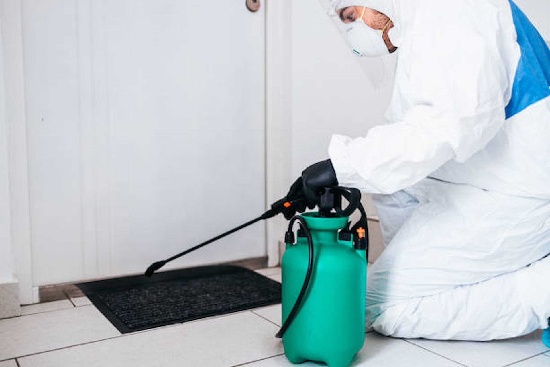 How to Pest-Proof Your Home: Tips from the Experts
