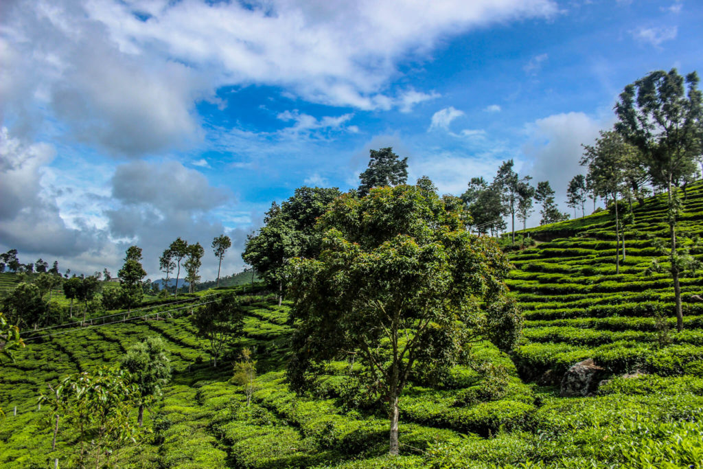 Lesser Known Hill Stations around Ooty
